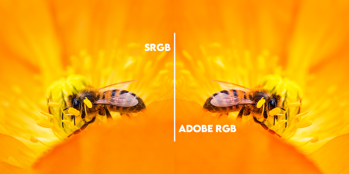 SRGB vs Adobe RGB en Impresión de Fotos: ¿Cuál es la Mejor Opción para ...