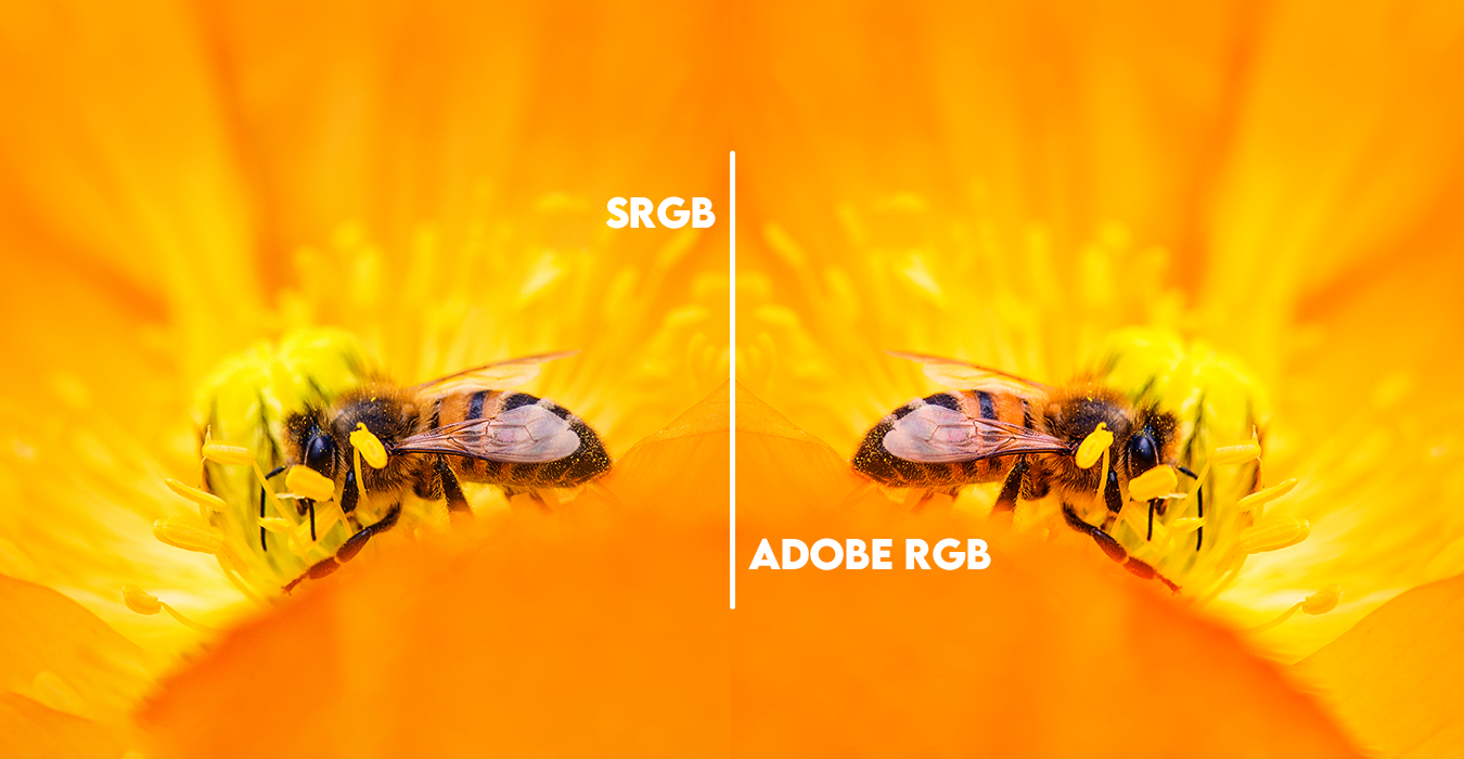 SRGB vs Adobe RGB en Impresión de Fotos: ¿Cuál es la Mejor Opción para ...